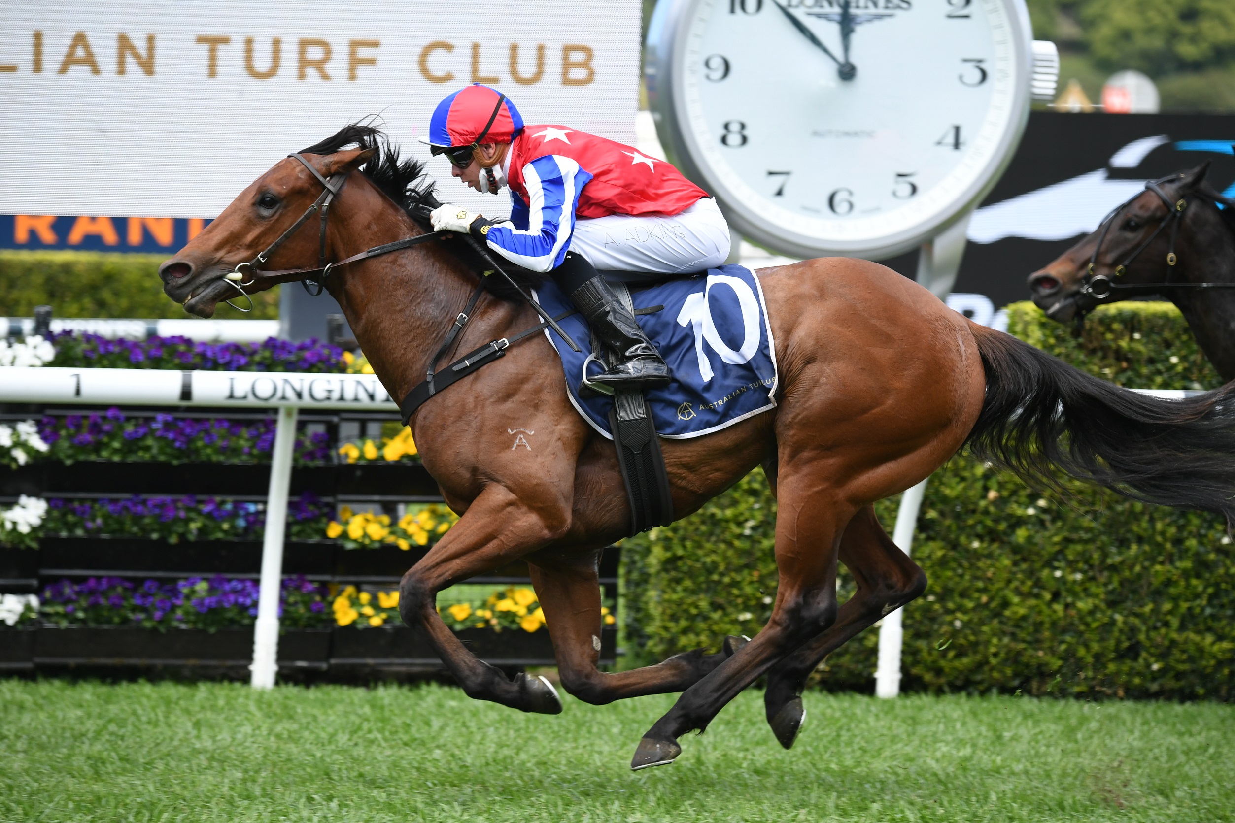 Consistent Fighter chases overdue win