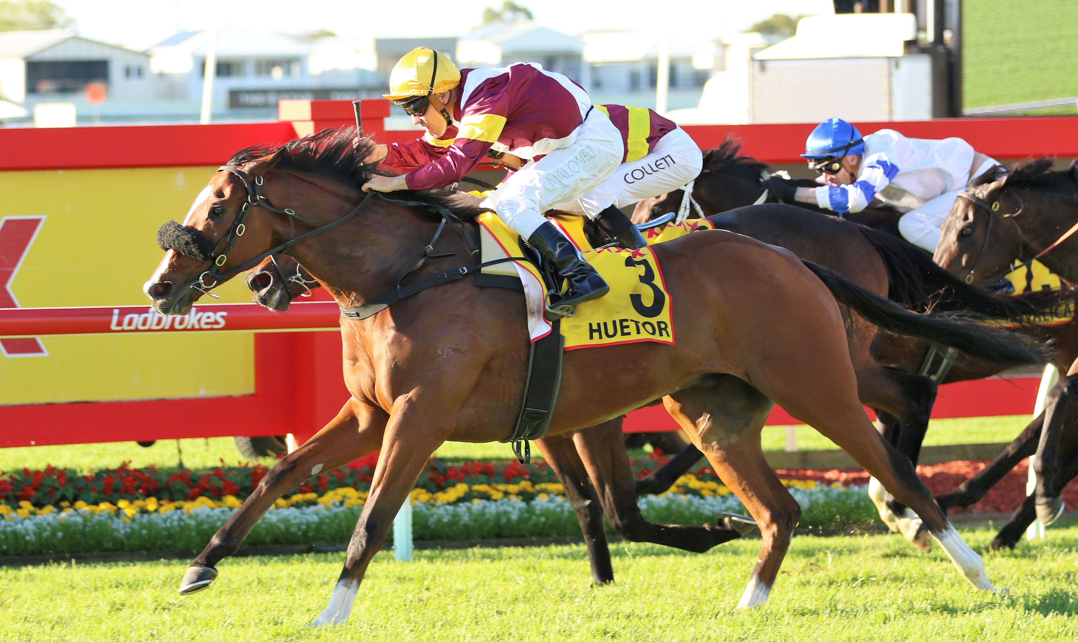 Home Horse Racing News