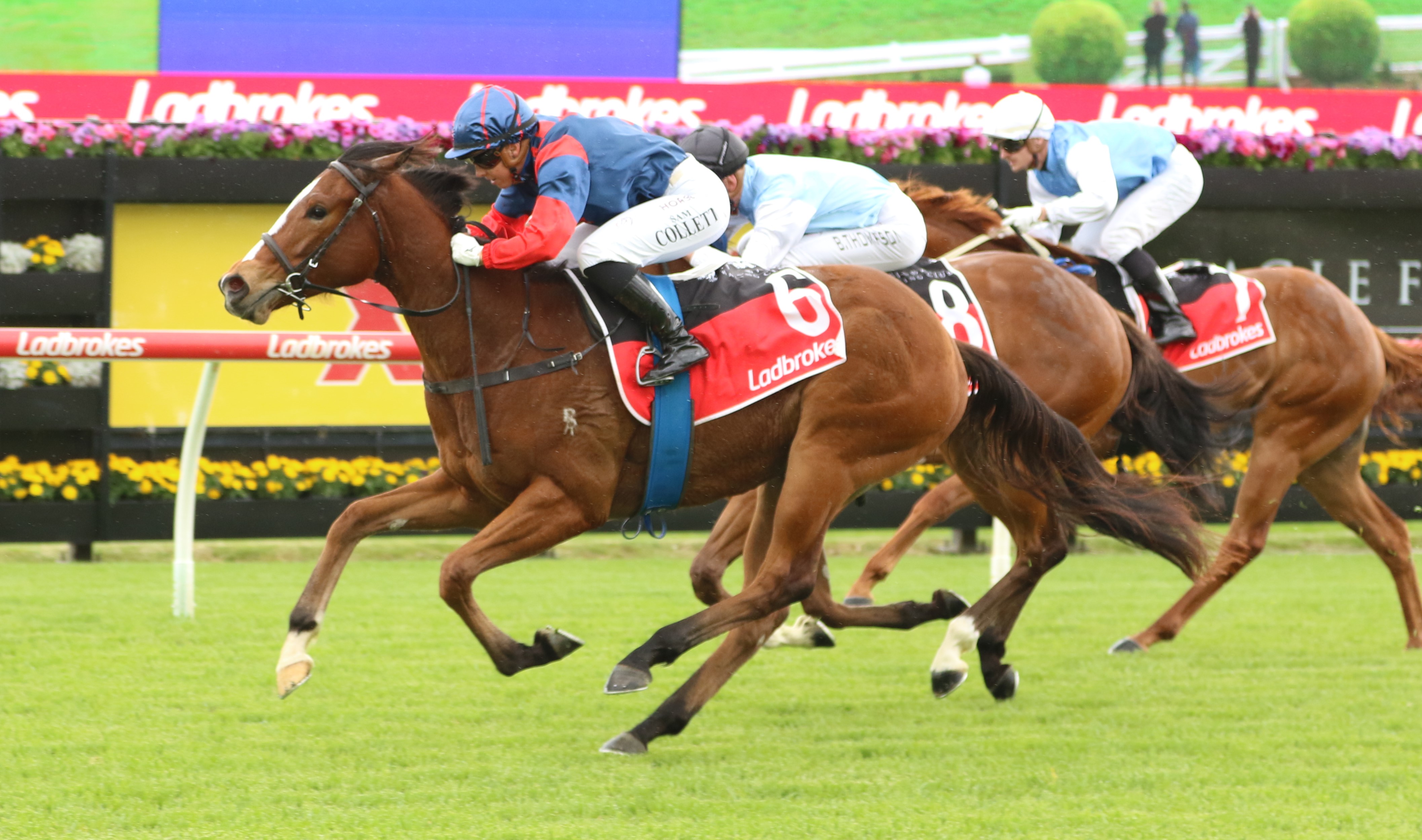 Kahlisee wins impressively on debut at Eagle Farm