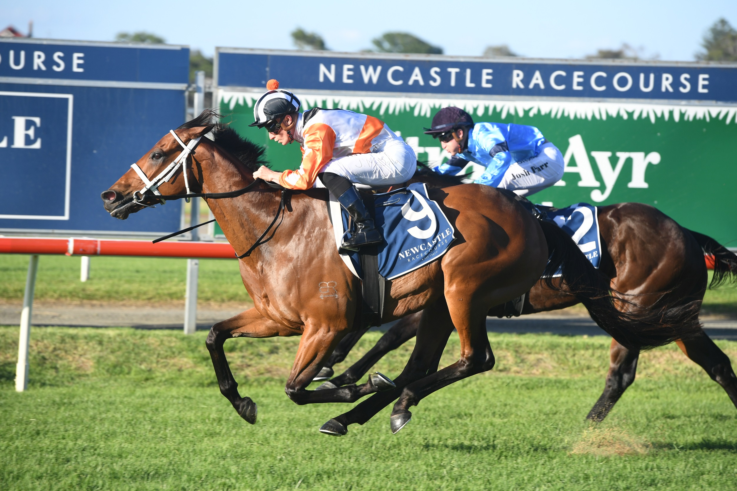 Veteran sprinter to Crack on at Randwick